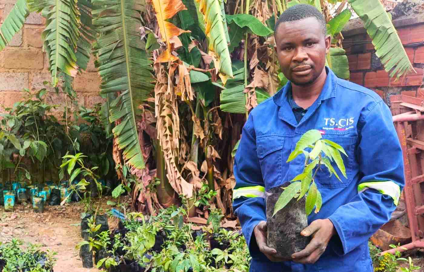 Our subsidiary in the DRC, CSS, commits to a community reforestation program - CIS