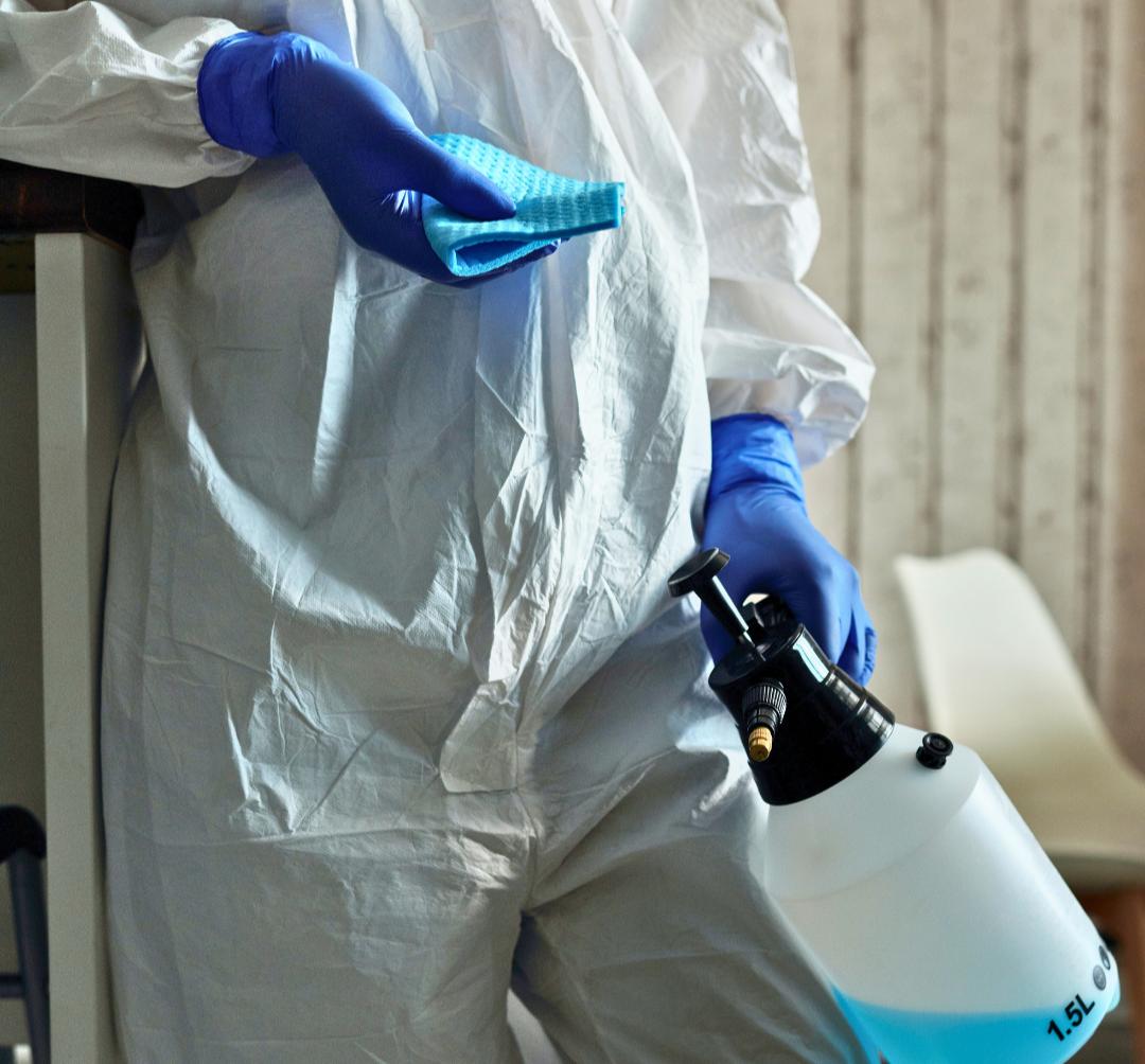 For more sustainable hygiene: deployment of our innovative cleaning ...